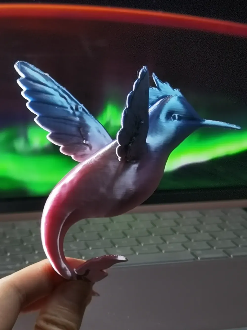 Is it a flying fish bird or a flying bird fish? by sexymiao - MakerWorld