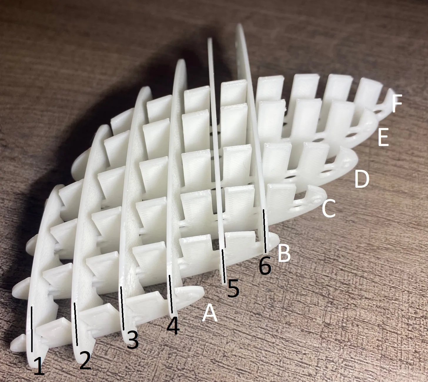 Smooth Morf Worm fidget - Free 3D Print Model - MakerWorld