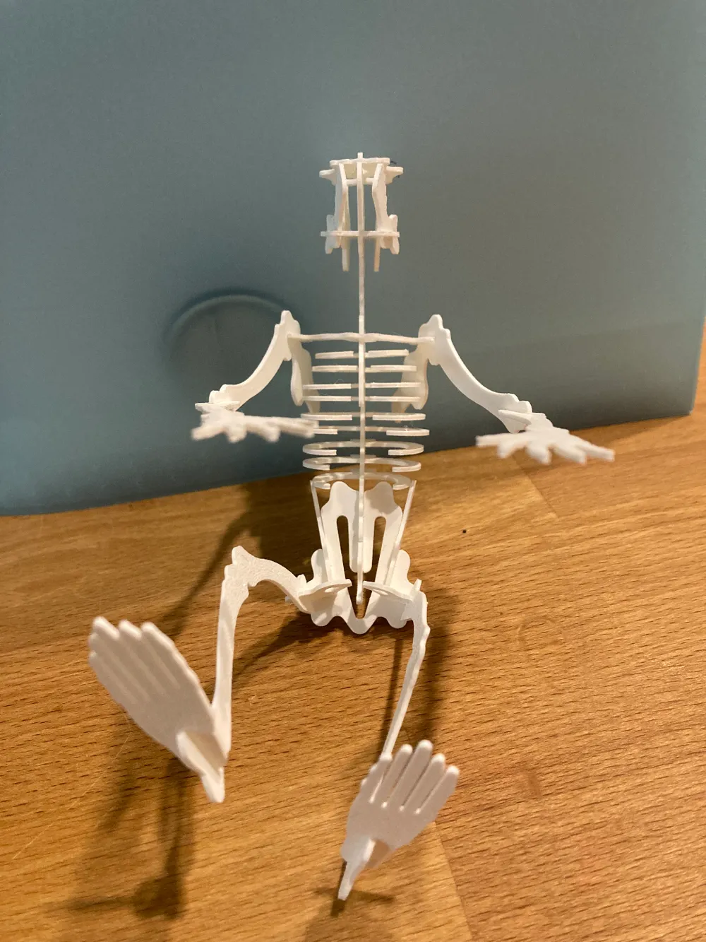 skeleton human by Martin - MakerWorld