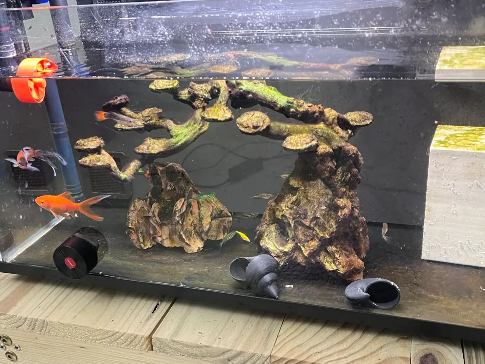 Snail Shell Fish Tank Fish Shrimp Hiding House by user_1404041426 ...