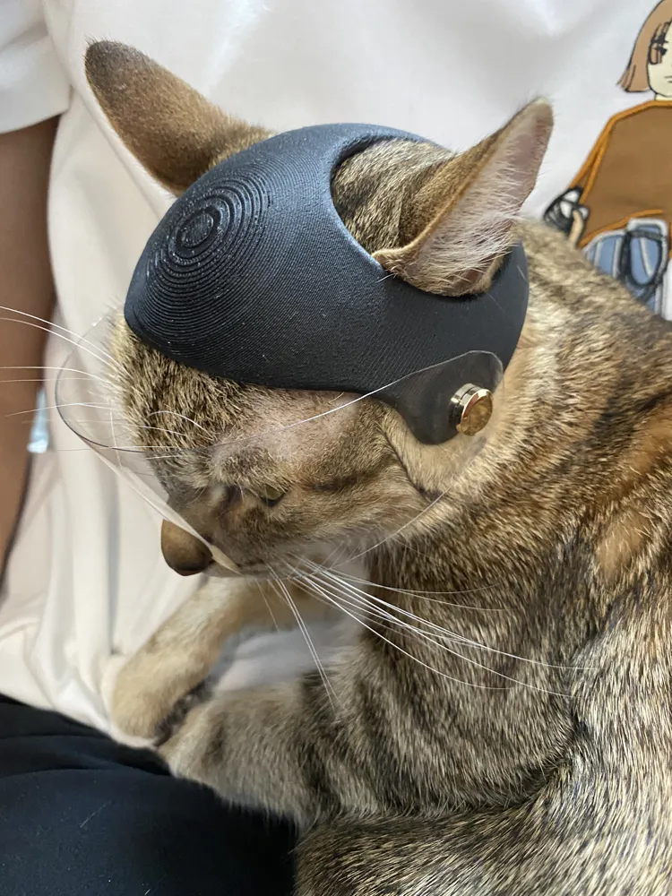 Cat Helmet by SpaceCrafter MakerWorld: Download Free 3D Models