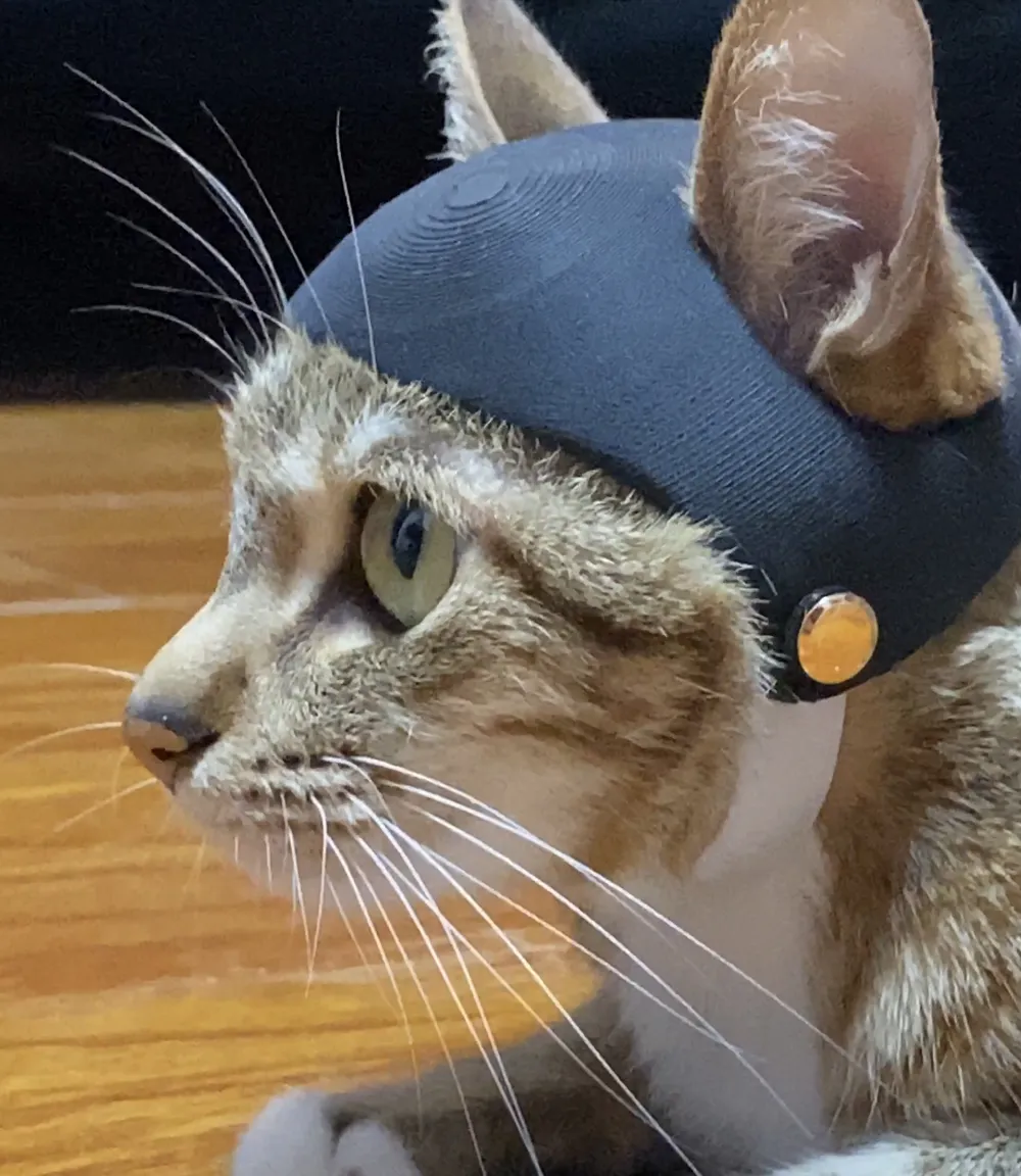Cat Helmet by SpaceCrafter MakerWorld: Download Free 3D Models
