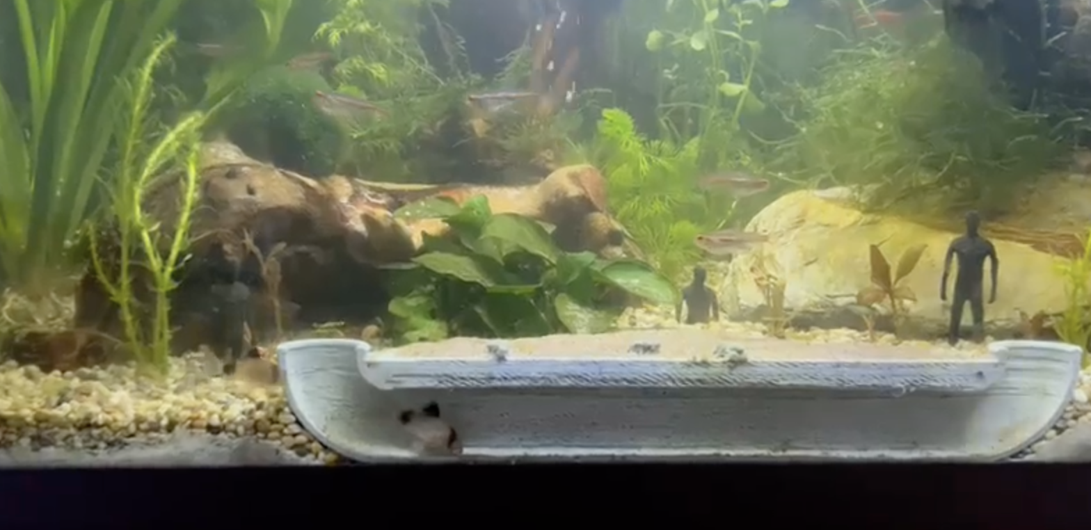 Fish Tank Sandpit with Viewing Tube by Cyber_Sculptor_ - MakerWorld