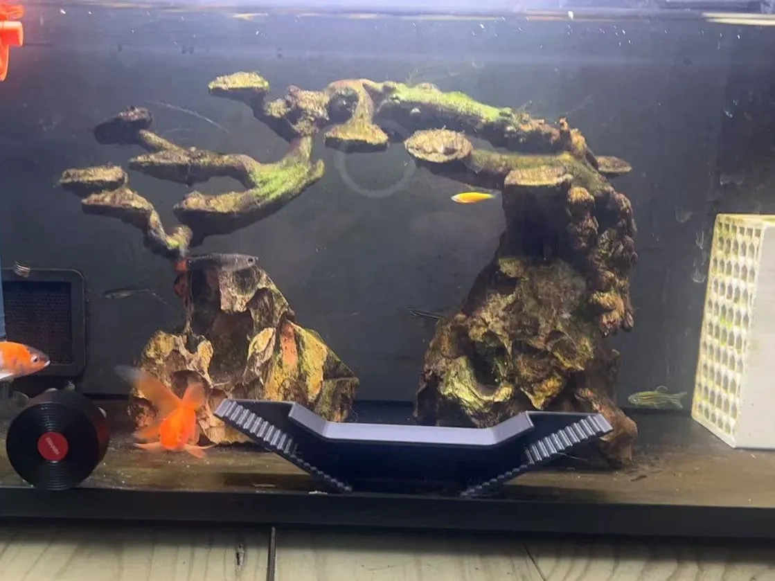 Fish Tank Tiered Tunnel Underground Cave Hideaway by Mr li MakerWorld ...