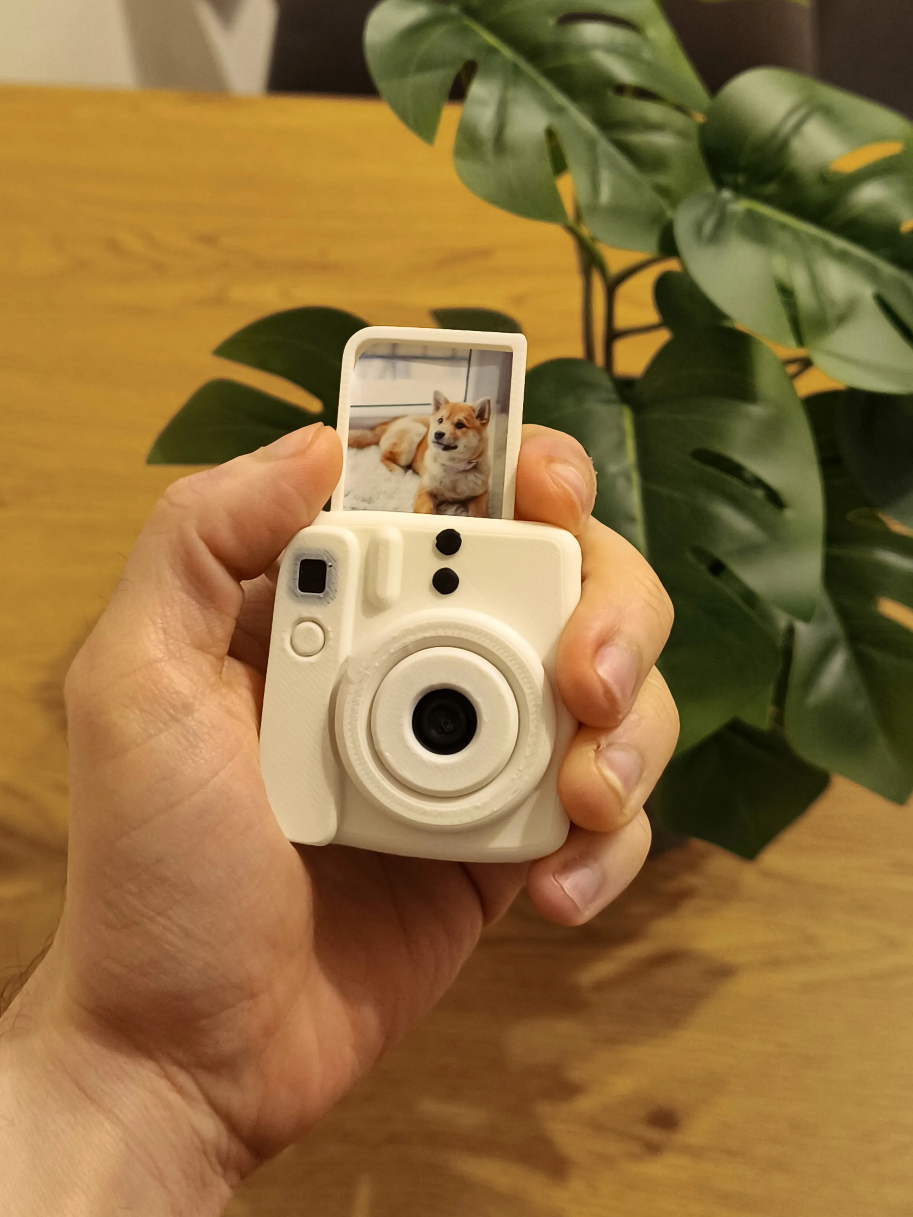Mini Instax 12 Fidget/Keychain - Free 3D Print Model - MakerWorld