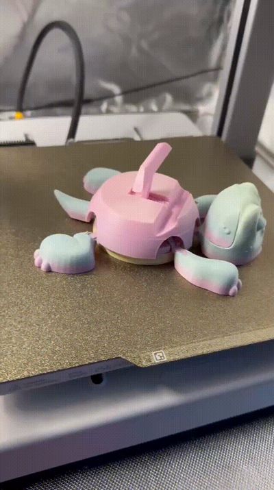 Turtle Coasters, Tortoises, and a Startling DIY Phone Stand - Popular ...