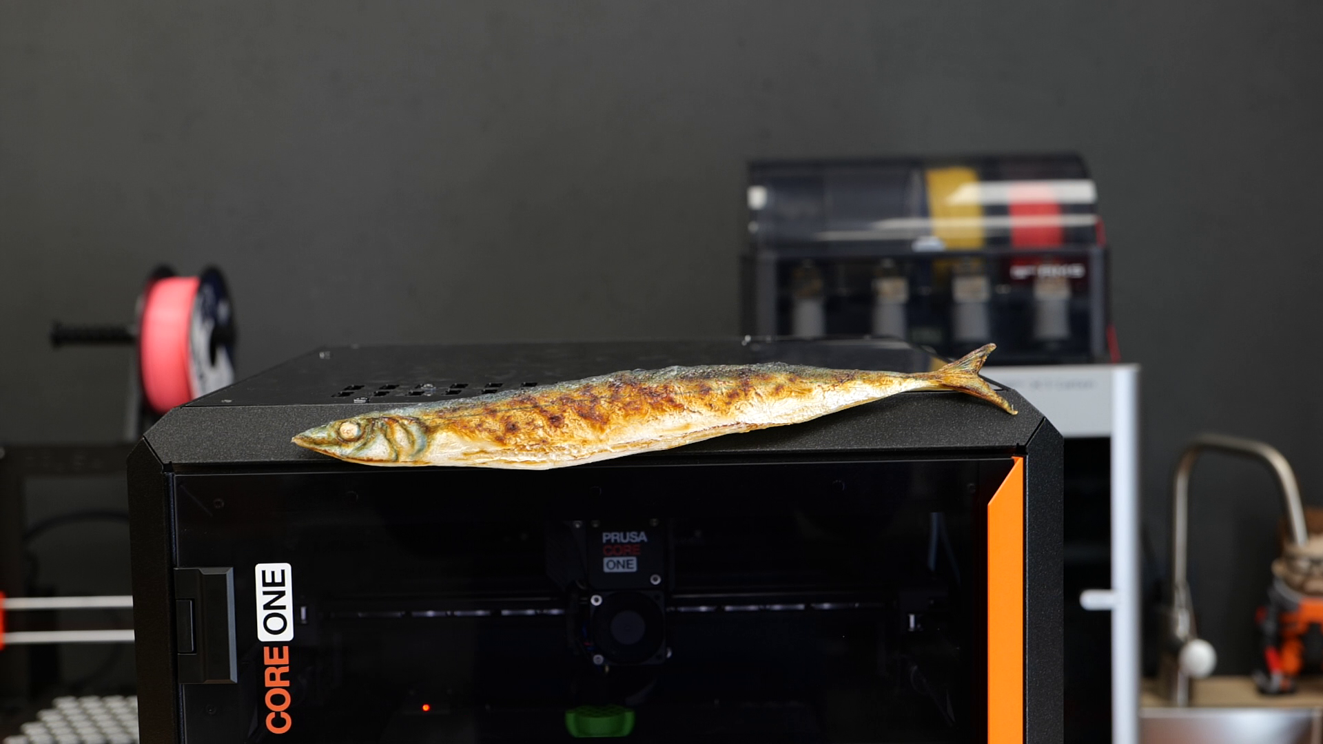 CORE One Fish (With Color Texture) by FusionWave - MakerWorld