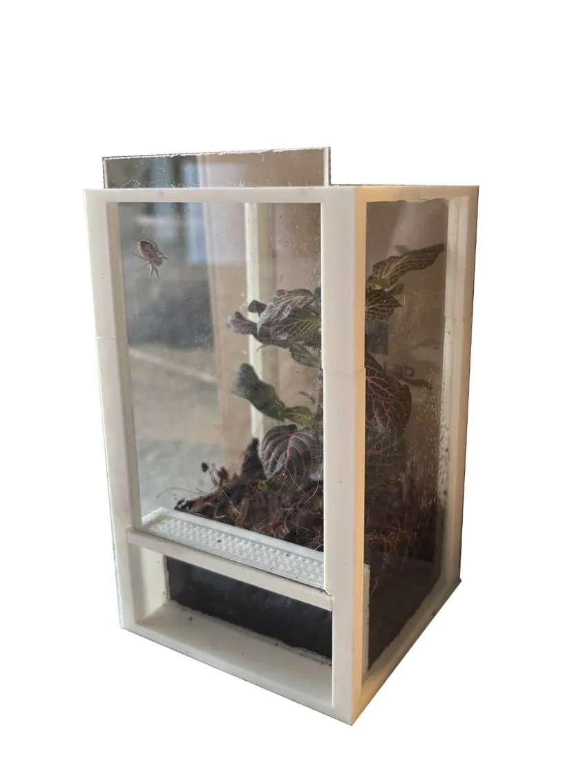 terrarium for jumping spiders 10x10x15mm by VadOsii - MakerWorld
