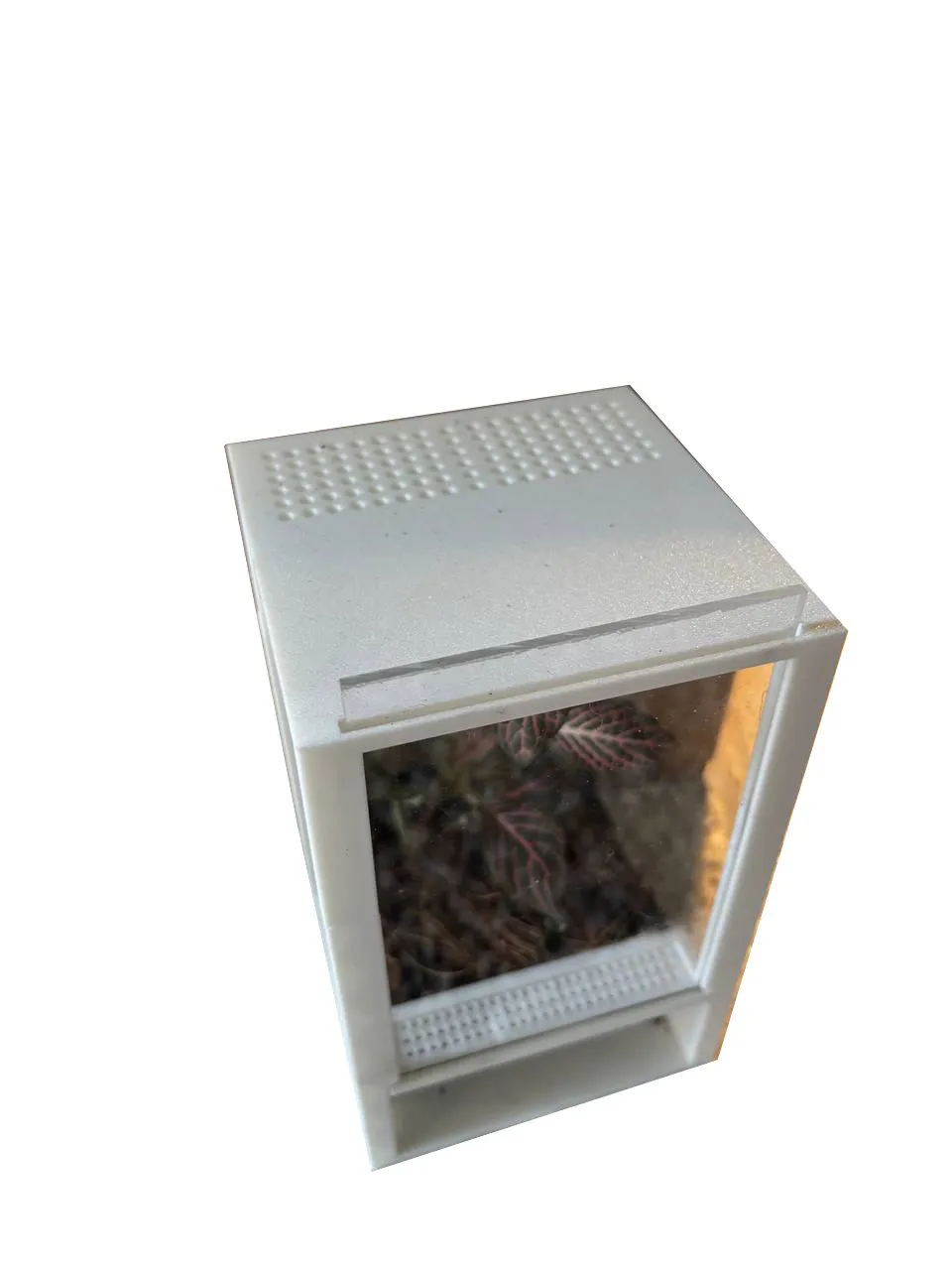 terrarium for jumping spiders 10x10x15mm by VadOsii - MakerWorld