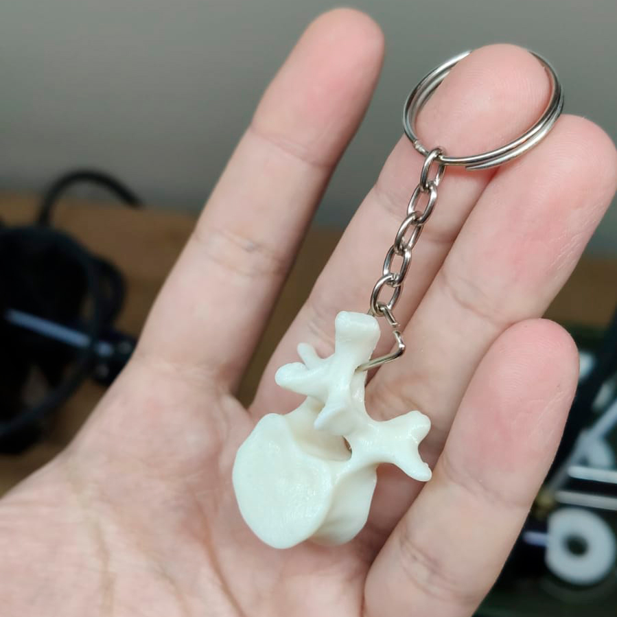 Lumbar bone keychain by user_531694306 - MakerWorld
