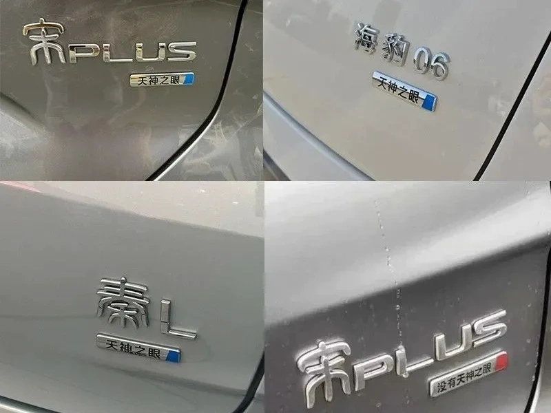 BYD [Eye of Providence] logo emblem, specifically for older car owners ...