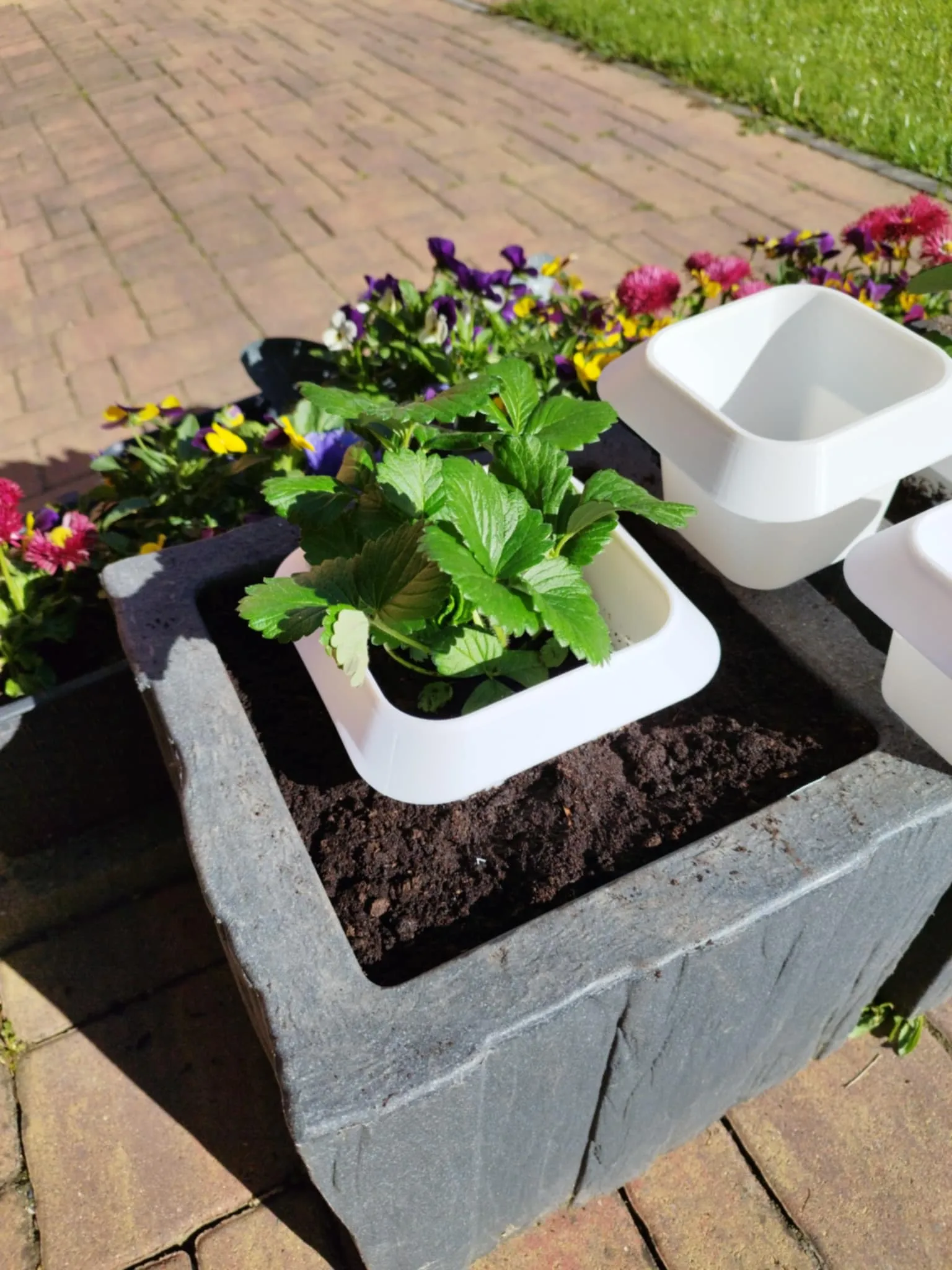 Fast simply flower pot - Free 3D Print Model - MakerWorld