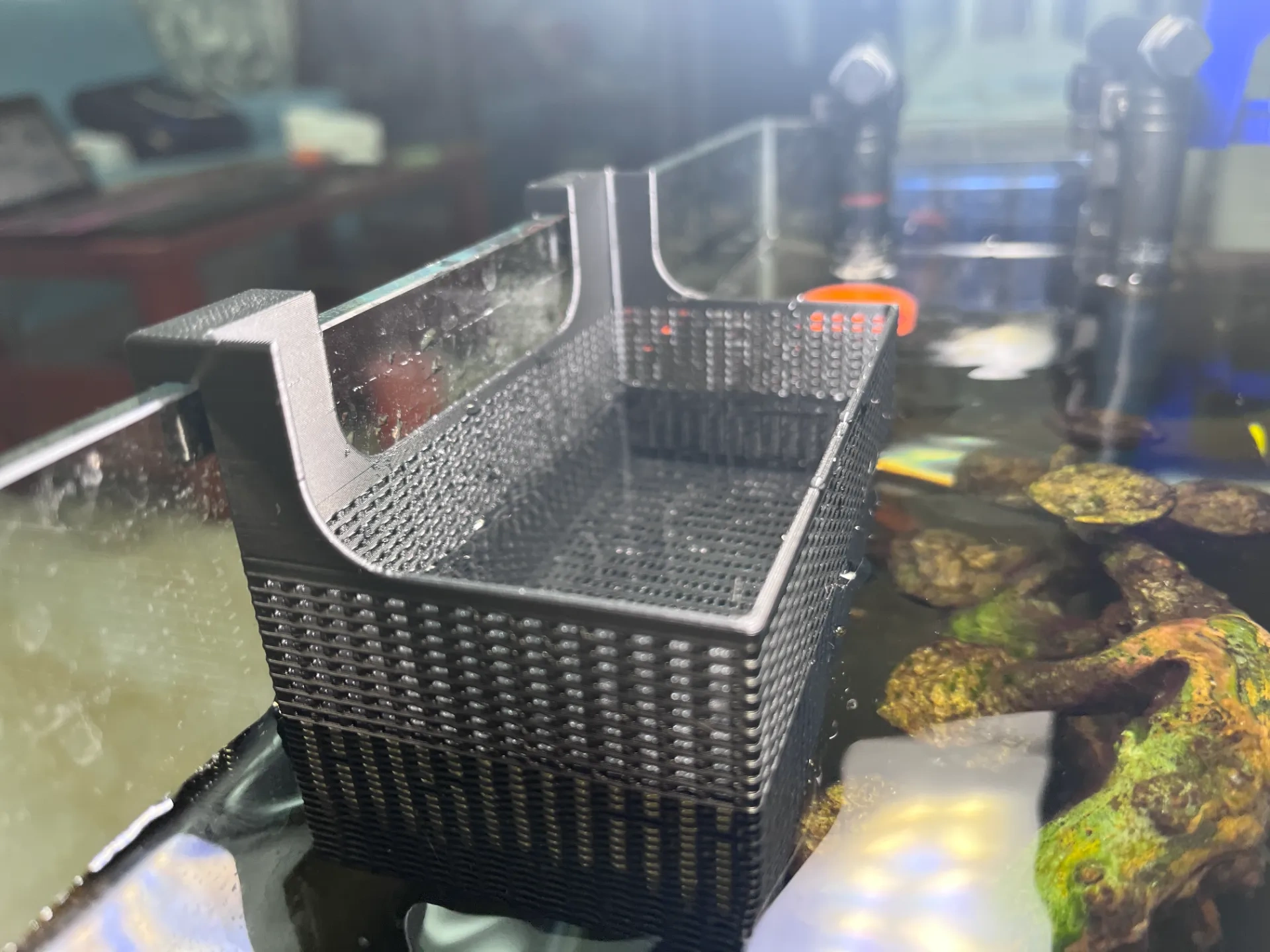 Fish Tank Breeding Box by user_1404041426 - MakerWorld