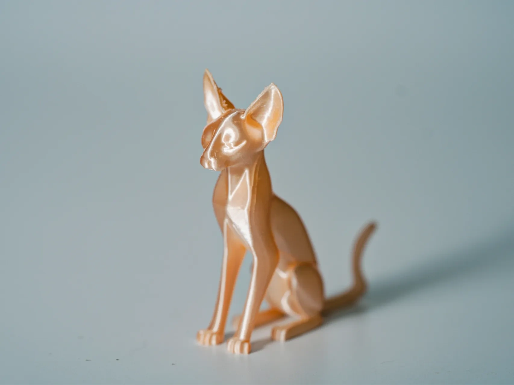 Sphynx cat by AtamiSquare - MakerWorld