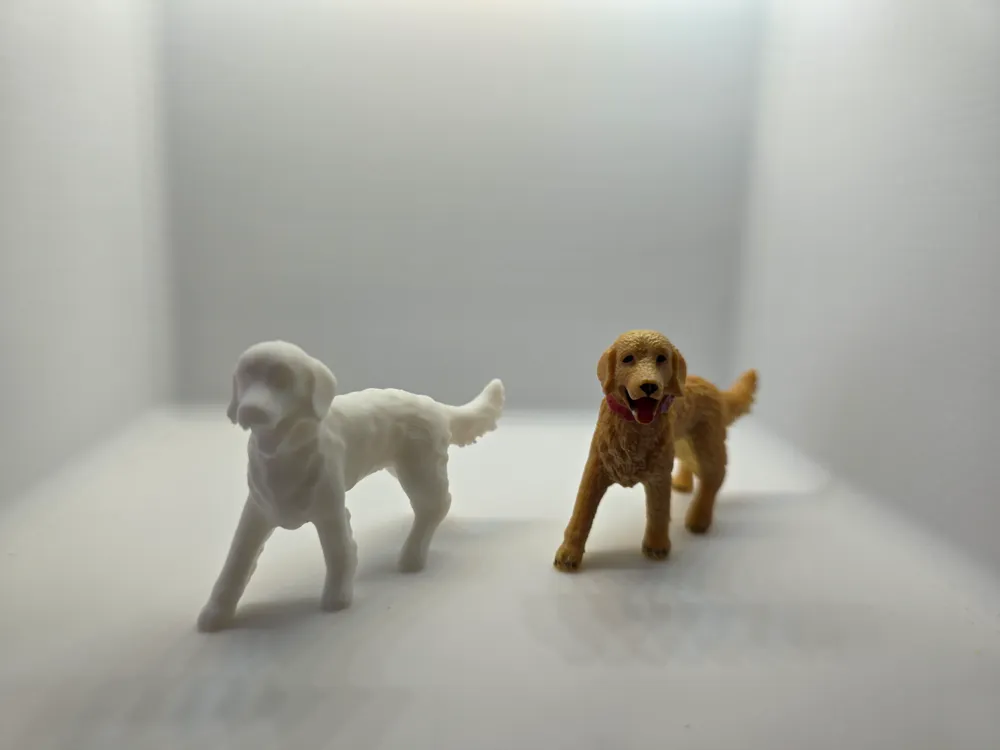 Dog (3D scanned) by 3D-Druck Nienburg MakerWorld: Download Free 3D Models