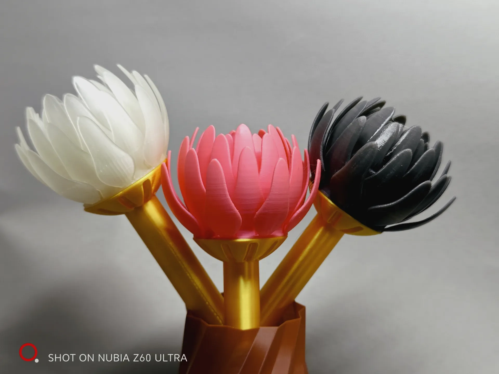 Handheld Lotus-Shaped Humidifier with Lights and Aromatherapy by 十二月 ...