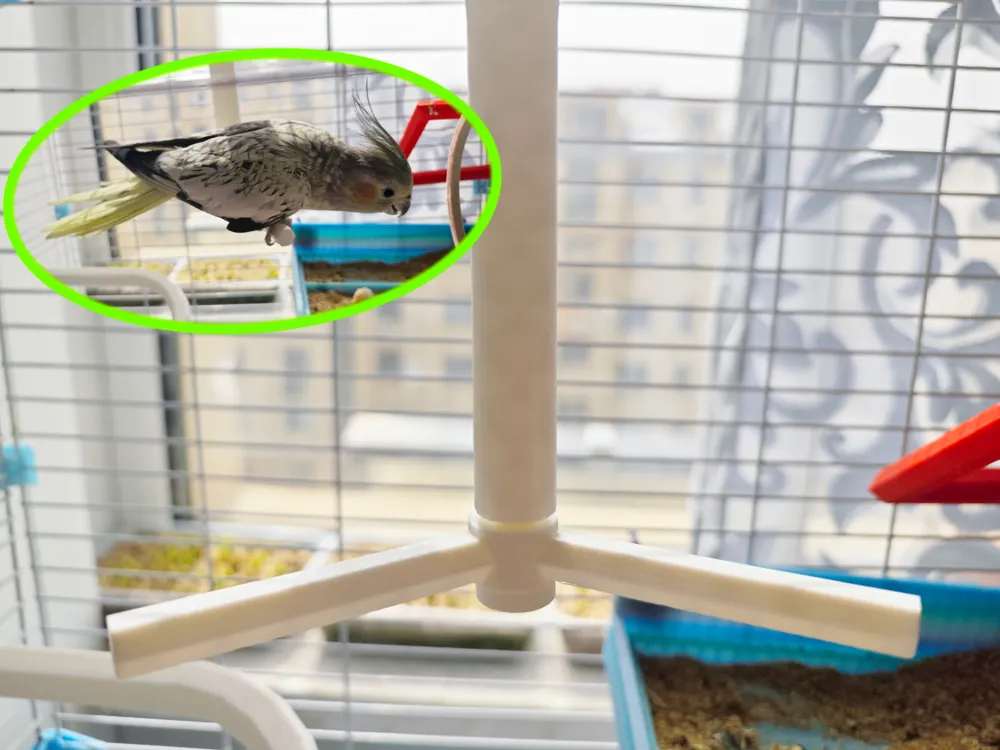 Rotating Overhead Movable Bird Perch by user_643328231 - MakerWorld