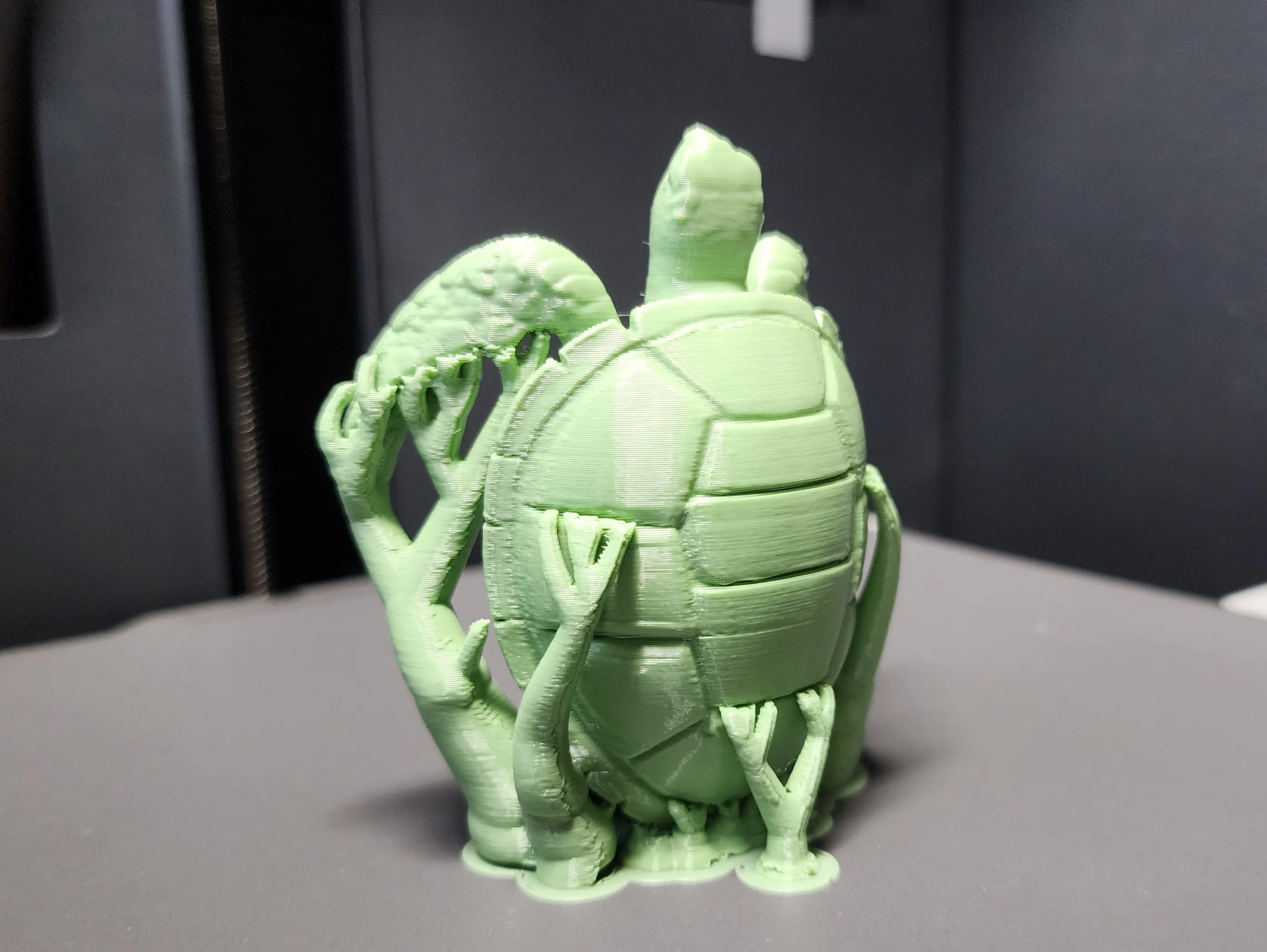 Sea Turtle by Triple G Workshop MakerWorld: Download Free 3D Models