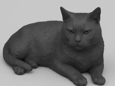 katze 3d print model download - MakerWorld