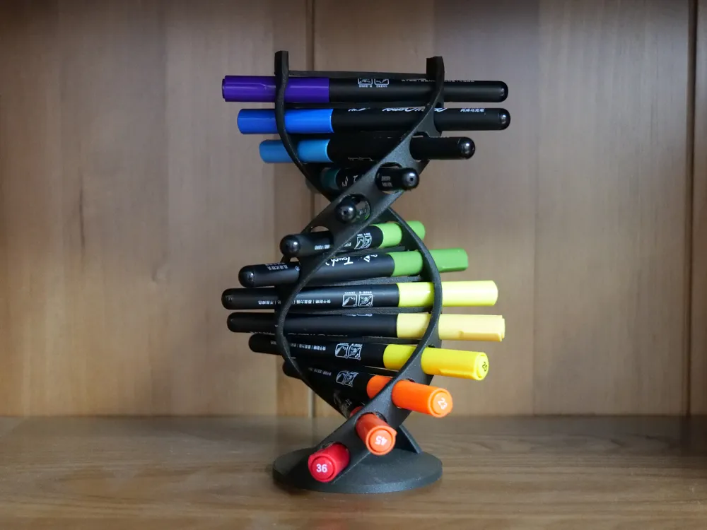 DNA Double Helix Pen Holder by PandaN MakerWorld: Download Free 3D Models