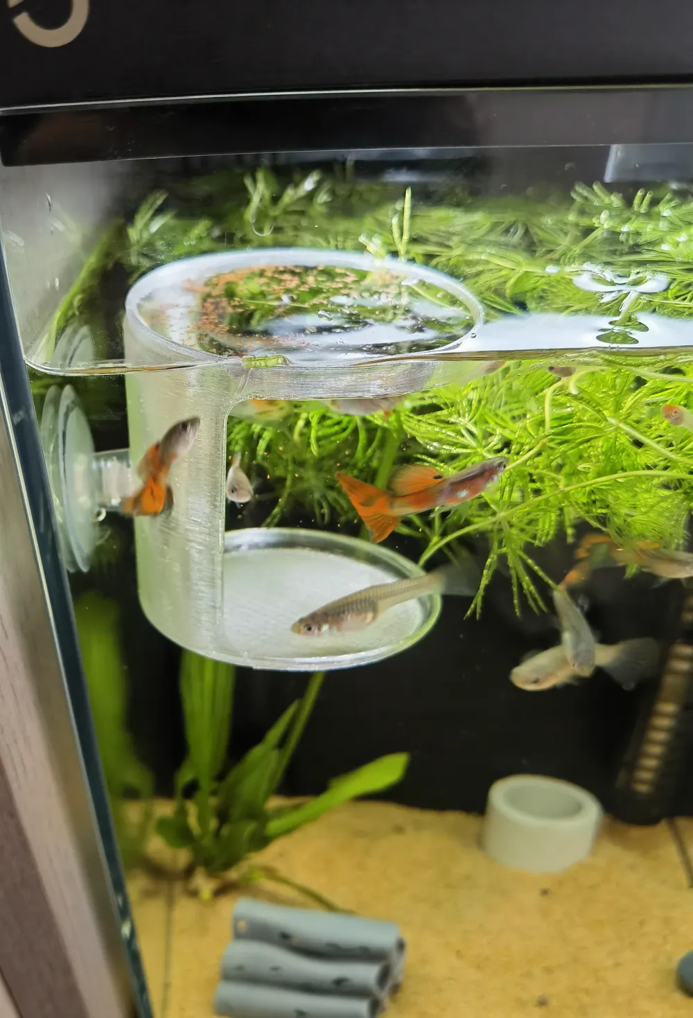 Fish tank feeder by user_1176113437 MakerWorld: Download Free 3D Models