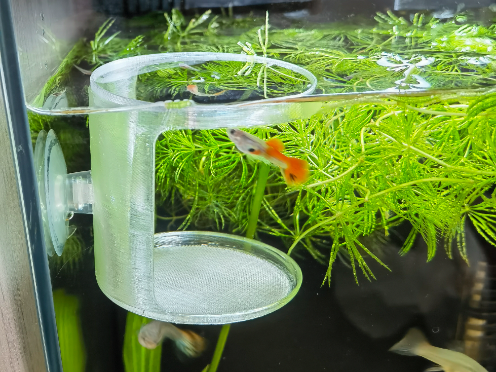 Fish tank feeder by user_1176113437 MakerWorld: Download Free 3D Models