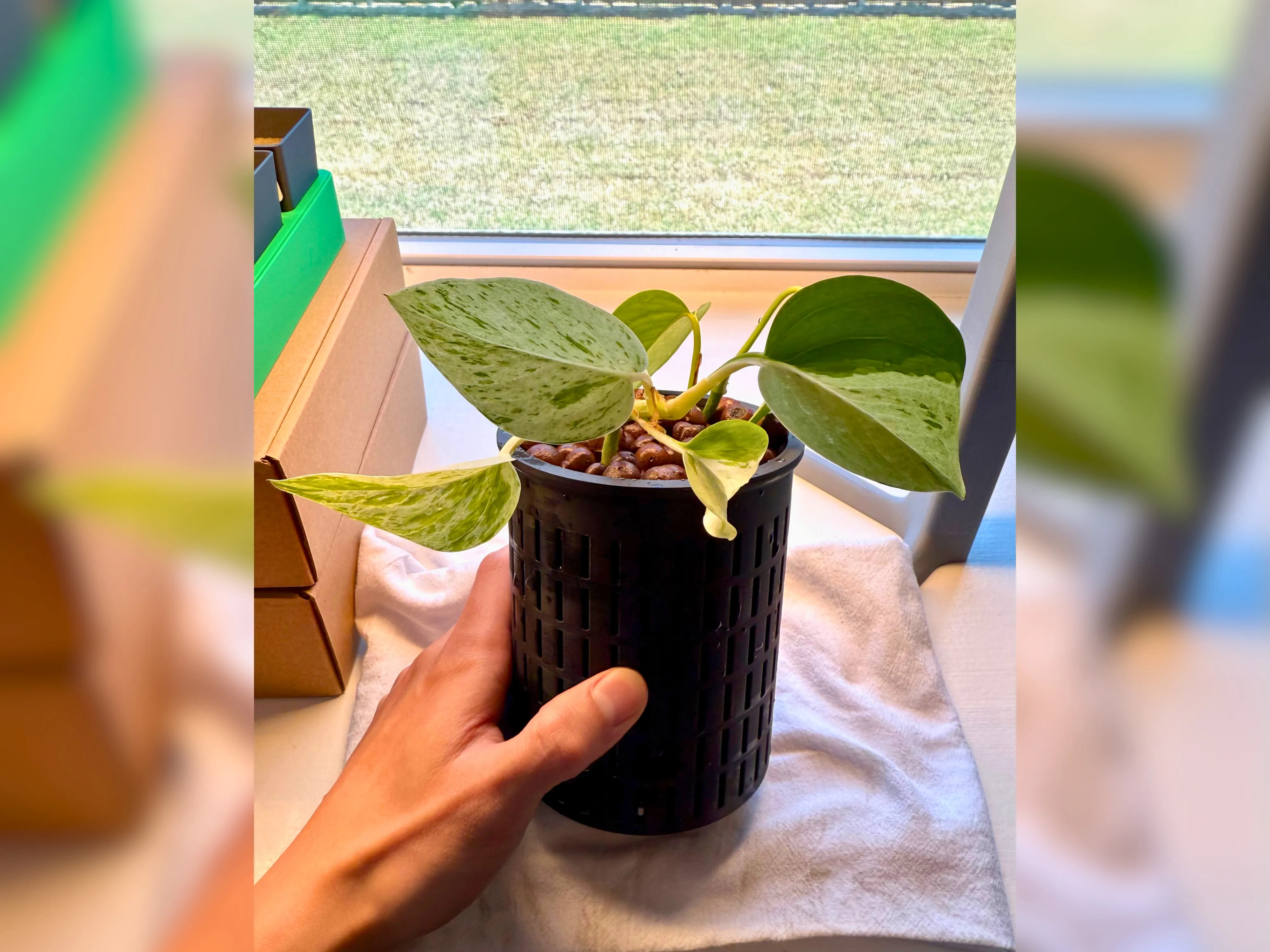 Semi-Hydroponic LECA Planter (Small) by Christopher Tung MakerWorld: Download Free 3D Models