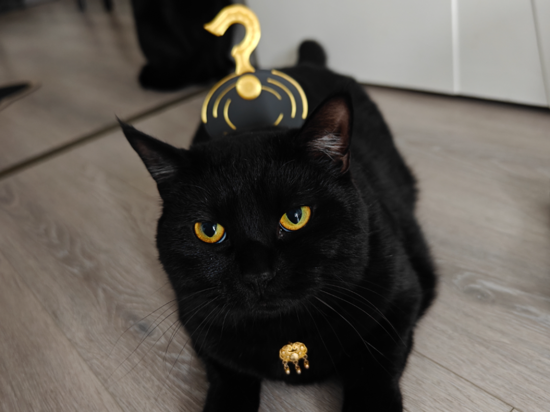 League of Legends Question Mark Headband, Enemy MIA Headband by 我要玩具自由 ...