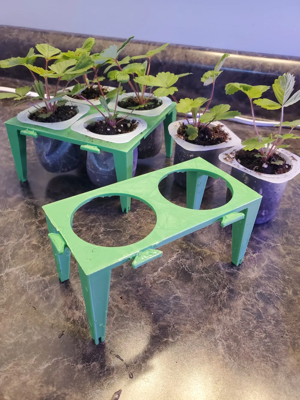 3d Printed Yogurt Cup Rack For Seedlings - Free 3D Print Model - MakerWorld