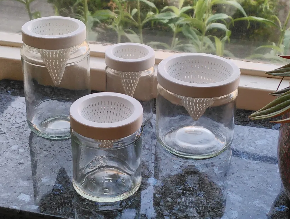 Turn any jar into a fruitfly trap by Dimensional_Whi - MakerWorld