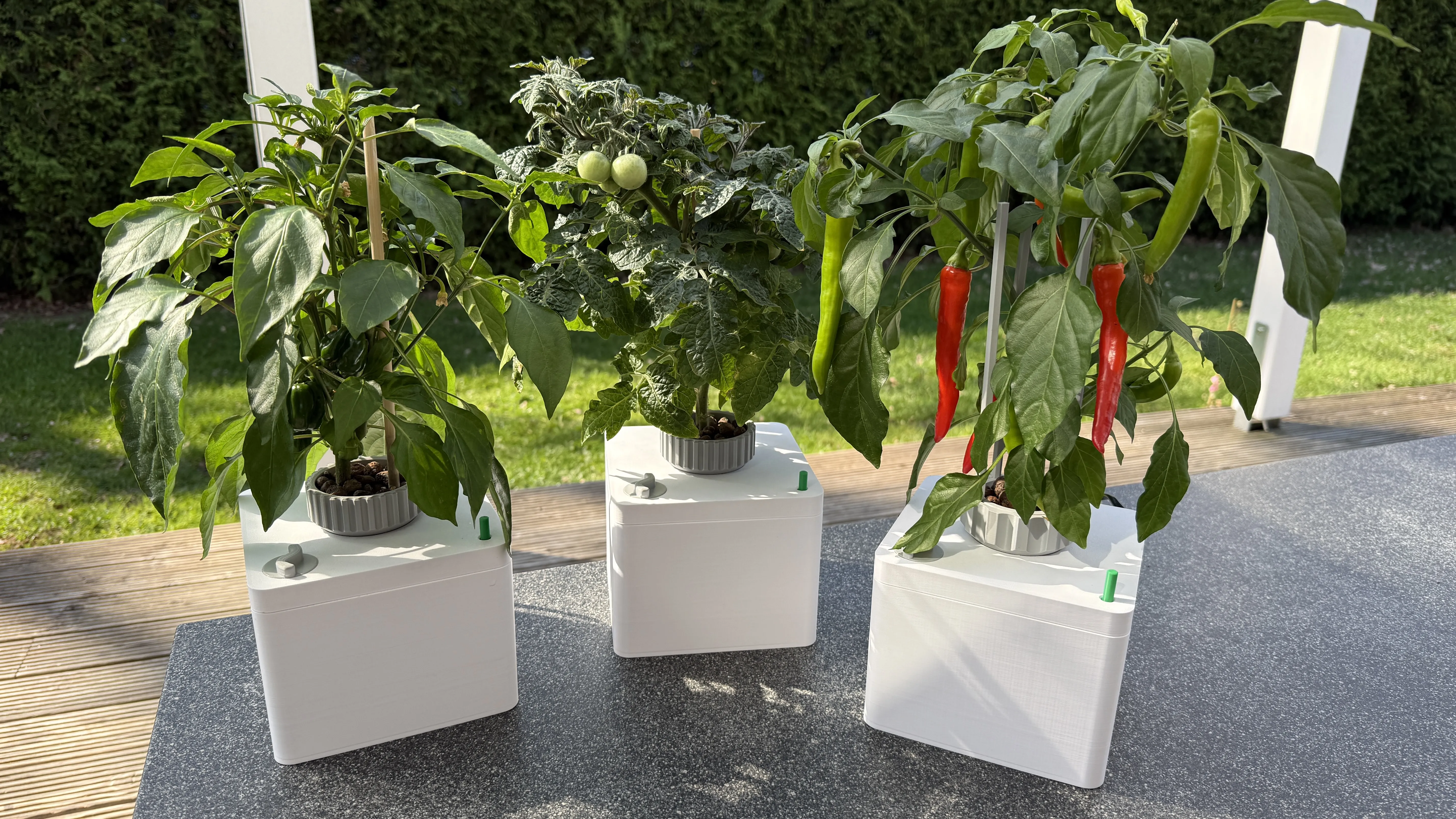 Hydroponic planter - Free 3D Print Model - MakerWorld