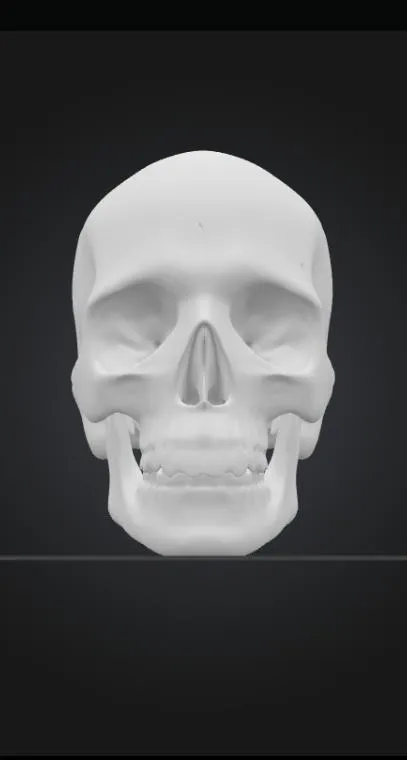 Skull Head - Free 3D Print Model - MakerWorld