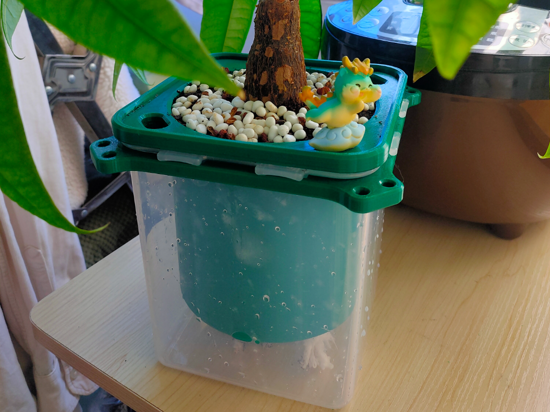 Hydroponic planter, money tree hanging basket by WenzhengMakerWorld ...