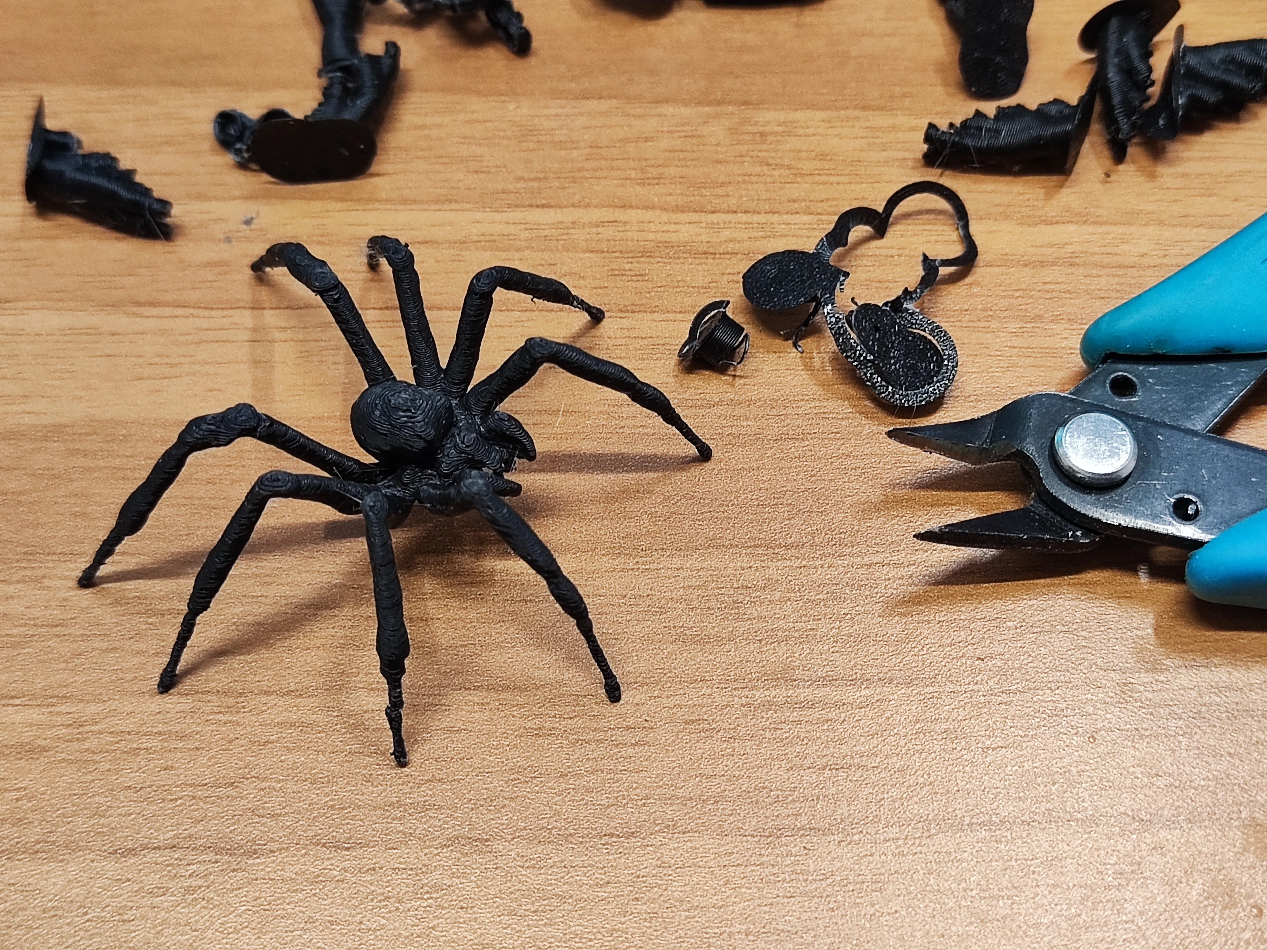 Realistic Spider *NEW 2025 Upgrade profile" - Free 3D Print Model ...