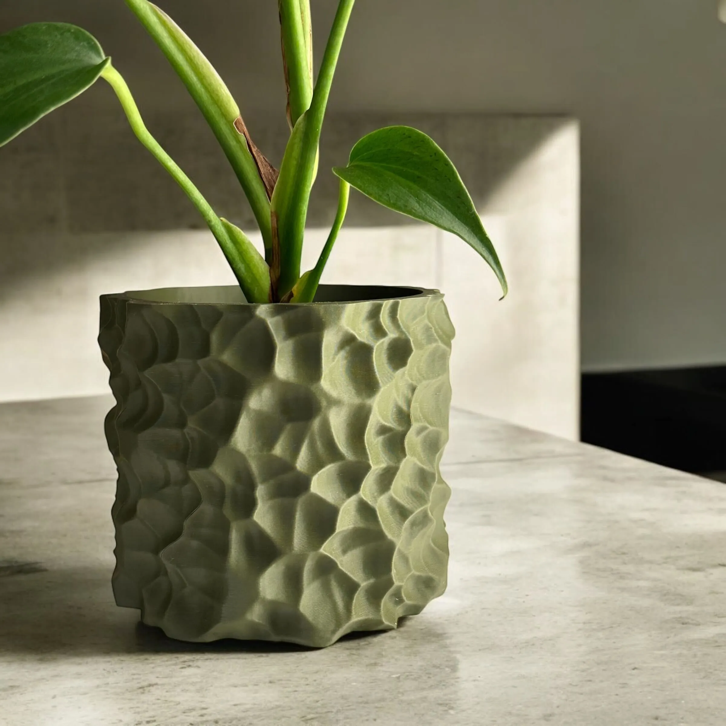 Whale Plant Pot - Free 3D Print Model - MakerWorld
