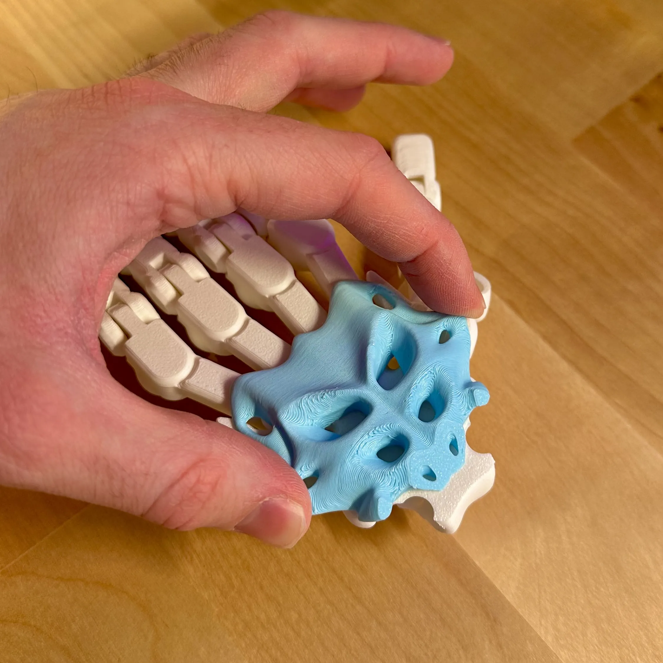 Articulated Hand - Free 3D Print Model - MakerWorld