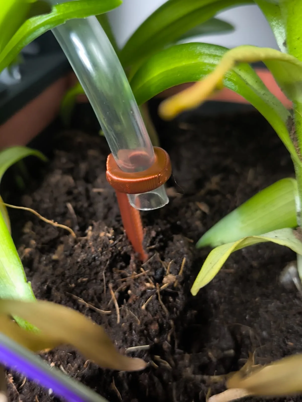 Smart Pot - The Self-Watering Planter by ACstudio MakerWorld: Download Free 3D Models