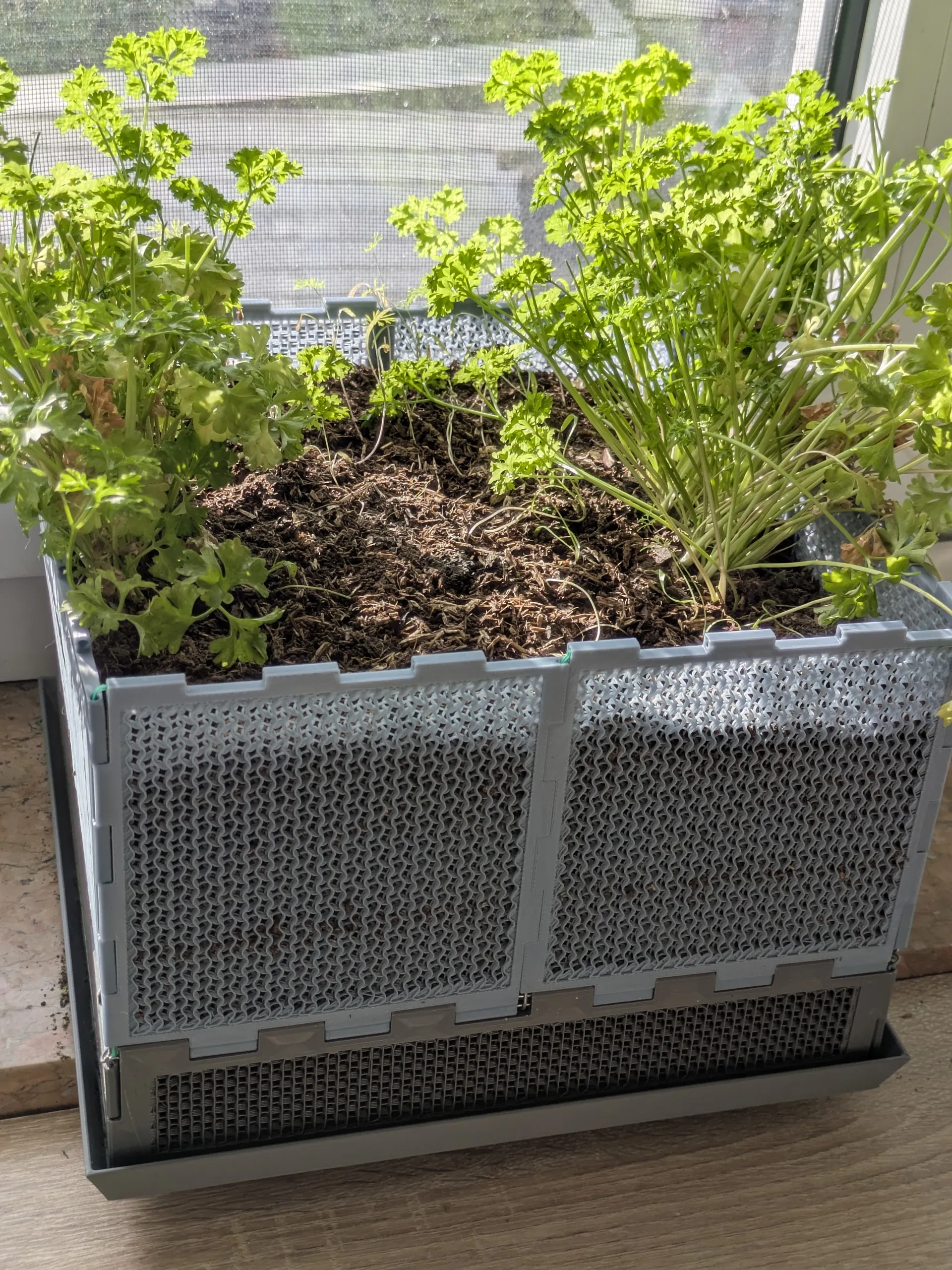 GrowCell - Modular Air Pruning Potting System by Weware MakerWorld ...