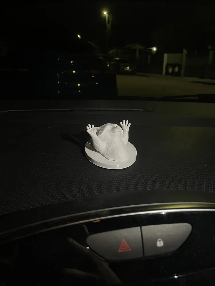 Spinning Raccoon - Pedro Pe Meme by 1boch1 MakerWorld: Download Free 3D ...