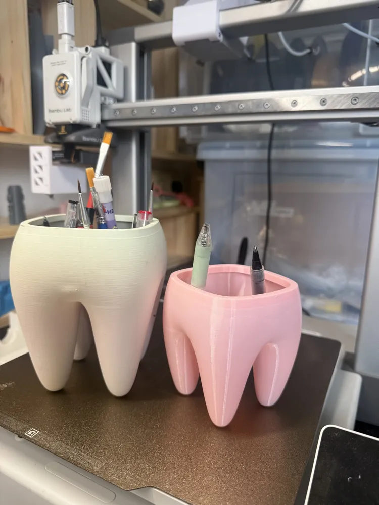 Creative Tooth Pen Holder by user_3761227701 MakerWorld: Download Free ...