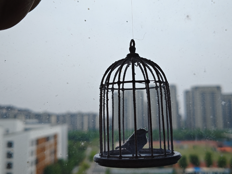 Caged Bird by user_155137211 MakerWorld: Download Free 3D Models