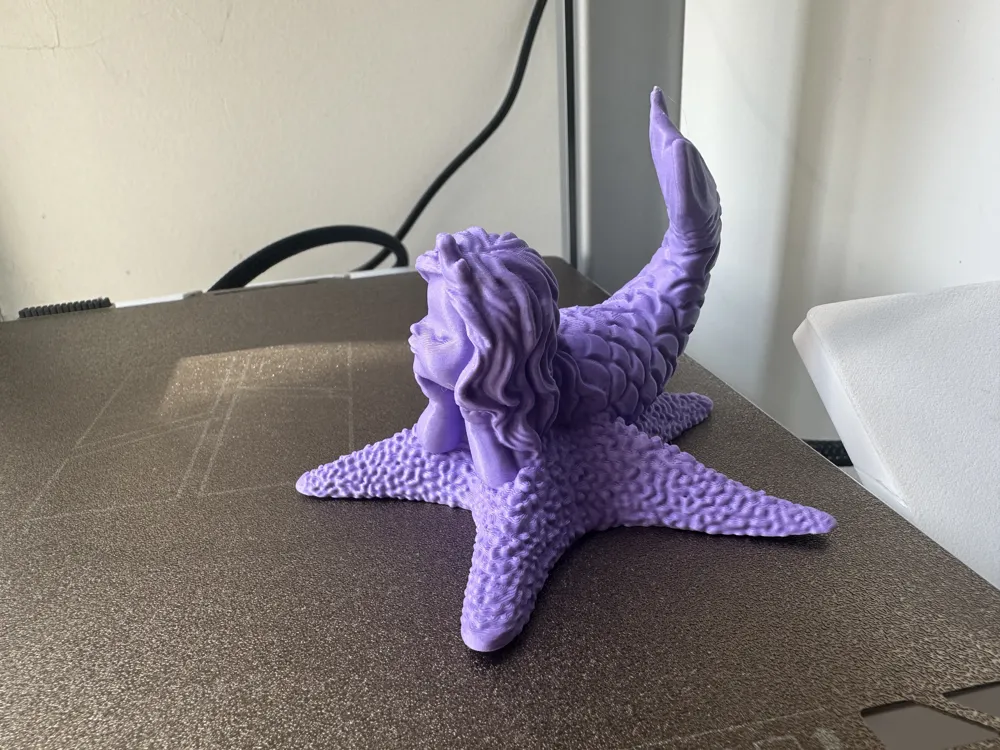 Beautiful Mermaid Starfish by 小小盒子 MakerWorld: Download Free 3D Models