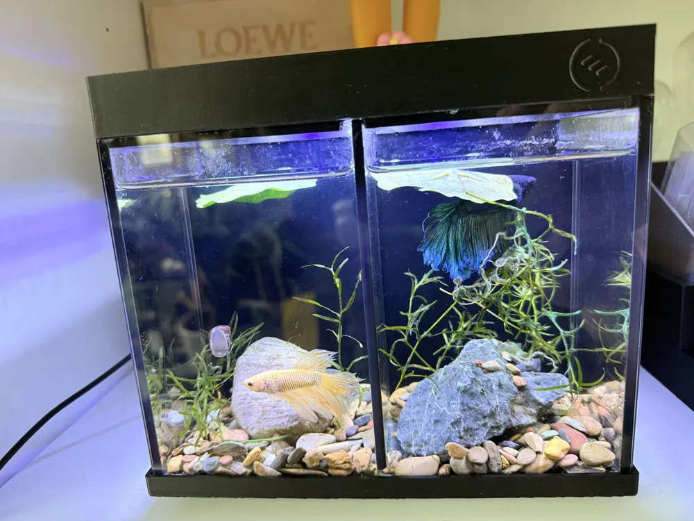 Double-Compartment Betta Fish Tank Base and Lid by user_4134418892 ...