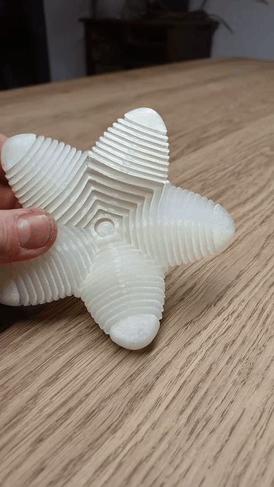 starfish 3d print model download - MakerWorld