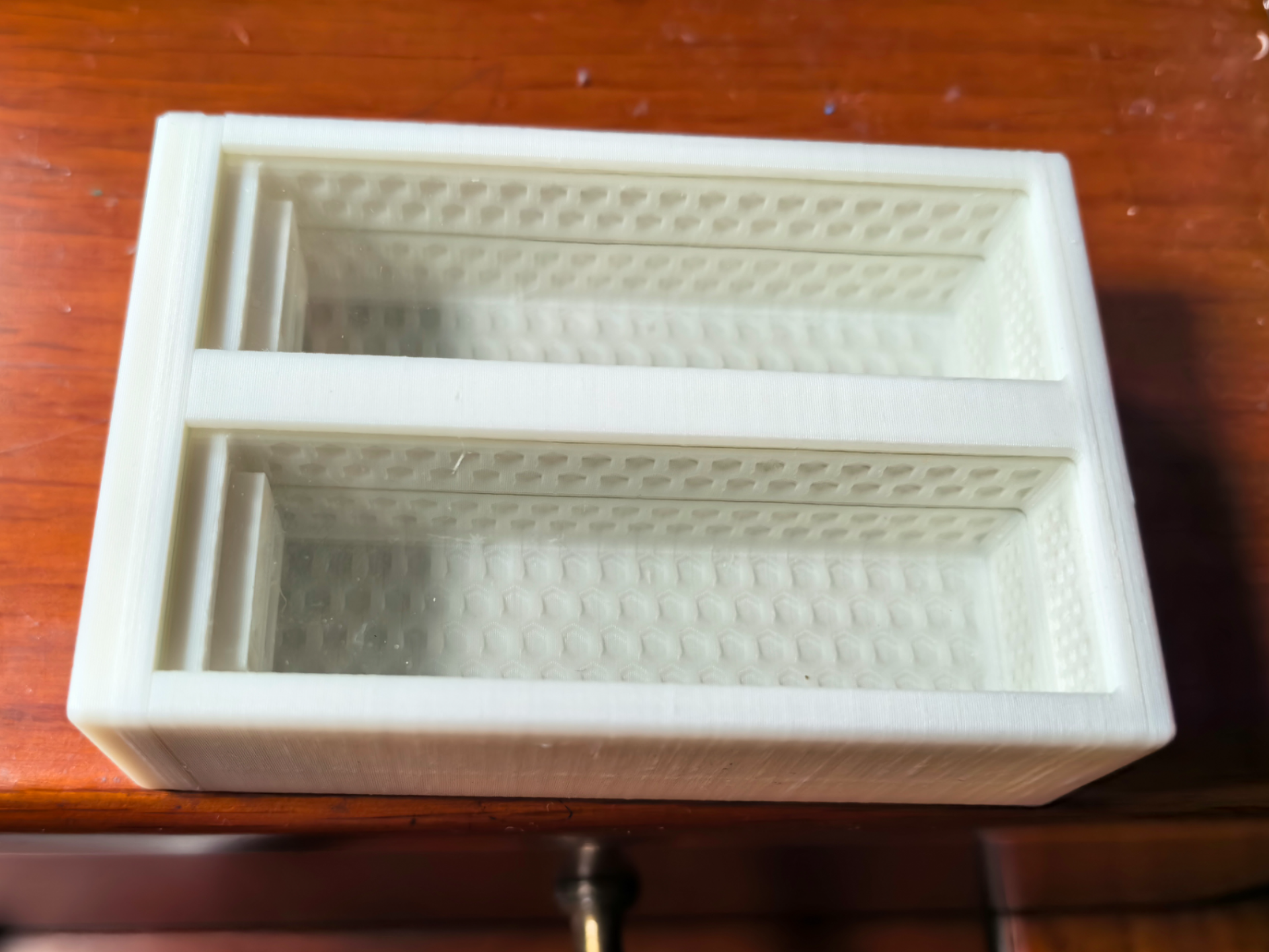 Double-compartment, double-layer cricket box (can house 4 large yellow ...