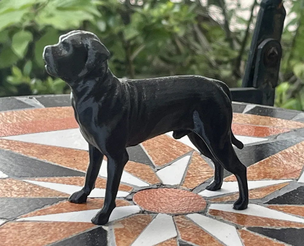 Cane Corso Mastiff Molosser Mastino Dane Dog by INVESTEGATE MakerWorld ...