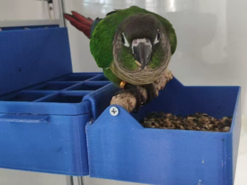 2020 Aluminum Profile Parrot Anti-Spill Food Box by user_2418176805 ...