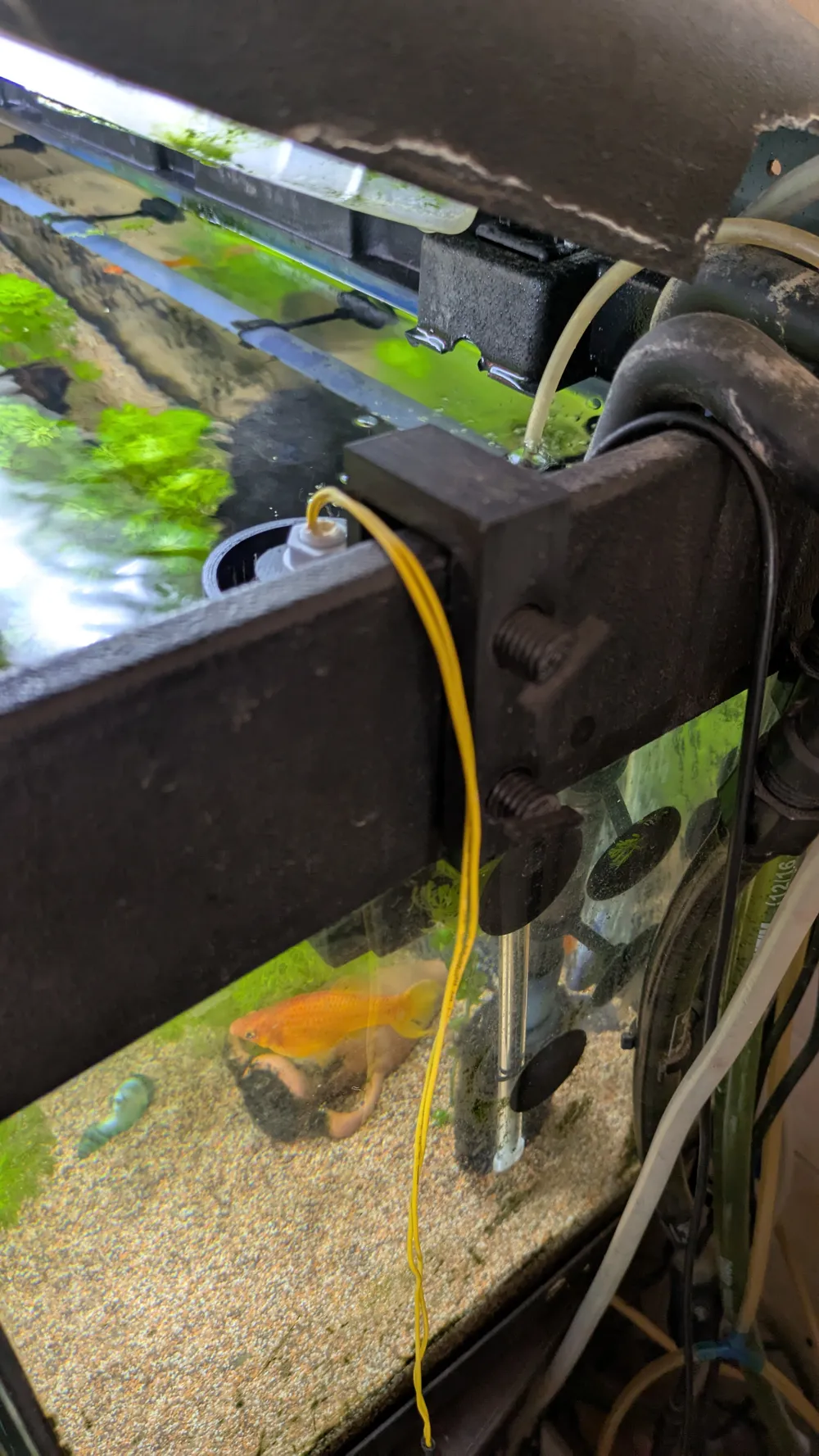 Level Controller Housing - Water Level - Free 3D Print Model - MakerWorld