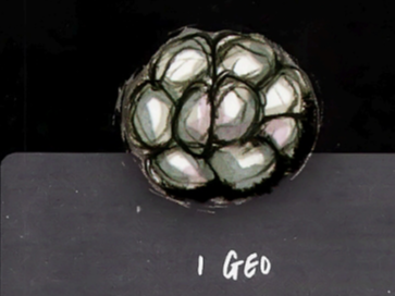 Hollow Knight - Geo by kcord0113 MakerWorld: Download Free 3D Models