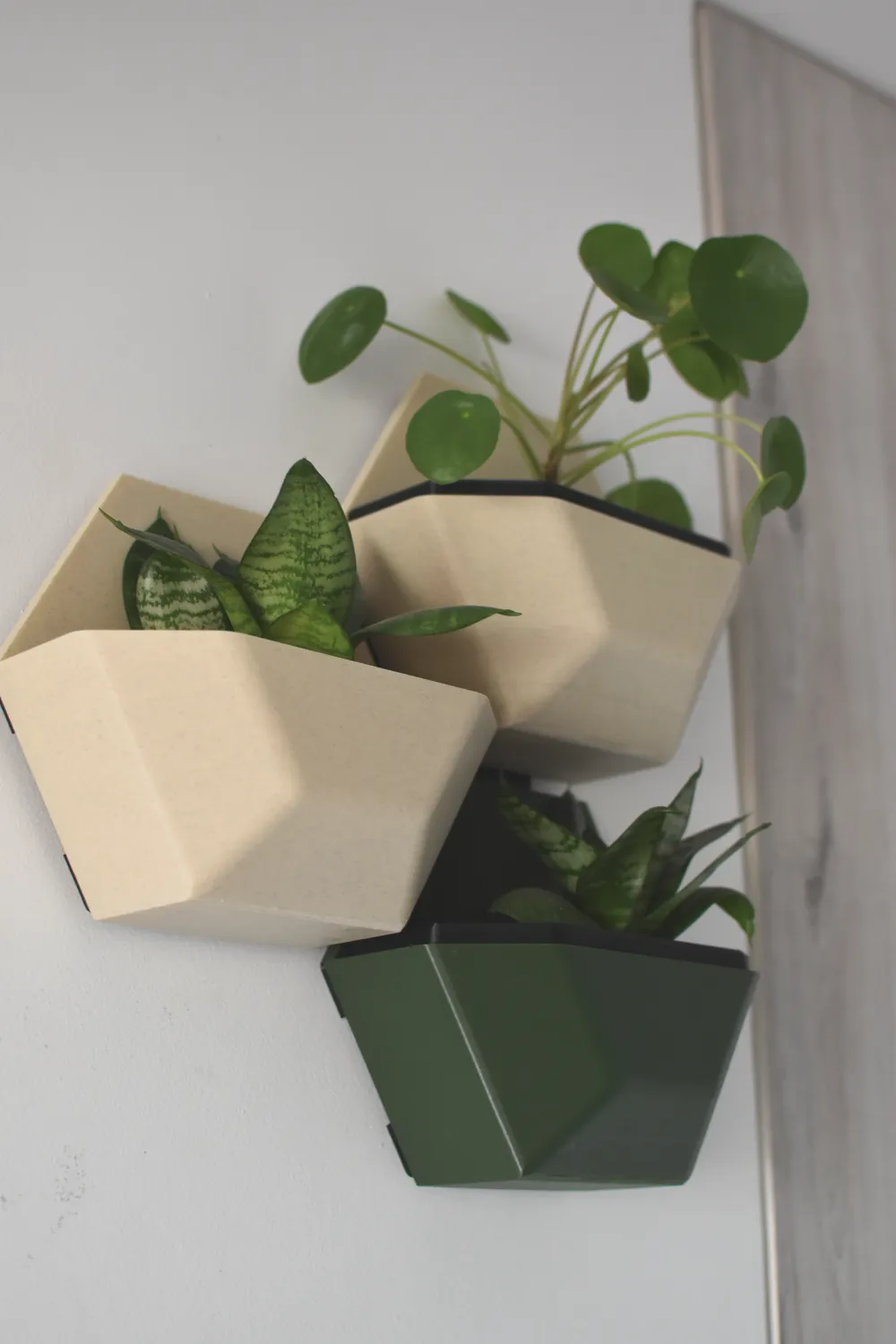 Hexagonal decor wall system by Thinkspace MakerWorld: Download Free 3D Models